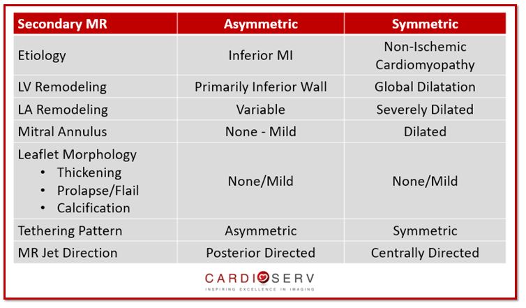 Secondary Mitral Regurgitation: Evaluating Mitral Valve Tethering ...