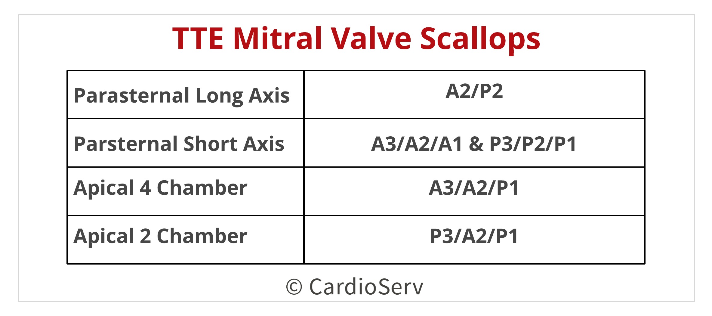Finally... Mitral Valve Orientation Explained! Cardioserv