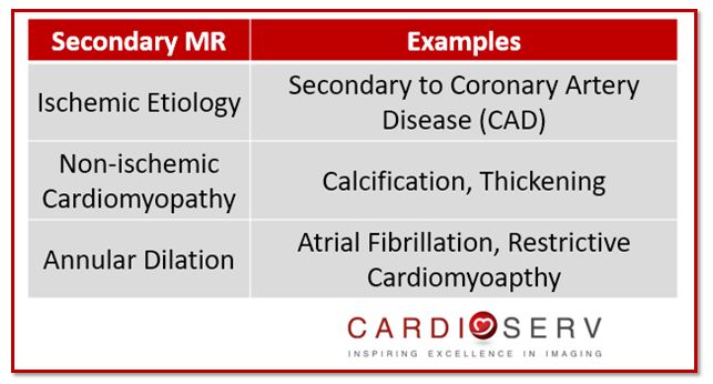 Smart Strategies for Determining MR Mechanisms Cardioserv