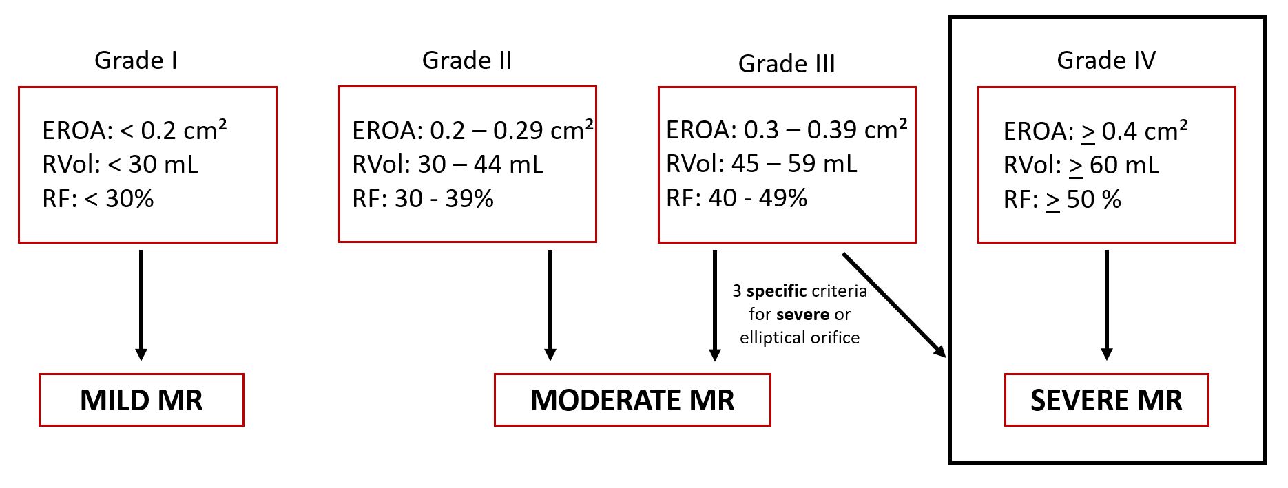 Mitral Regurgitation Case Study Demonstration! Cardioserv