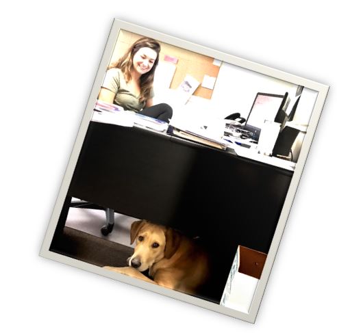 Celebrating Andrea Fields 1 Year Anniversary at CardioServ! Cardioserv