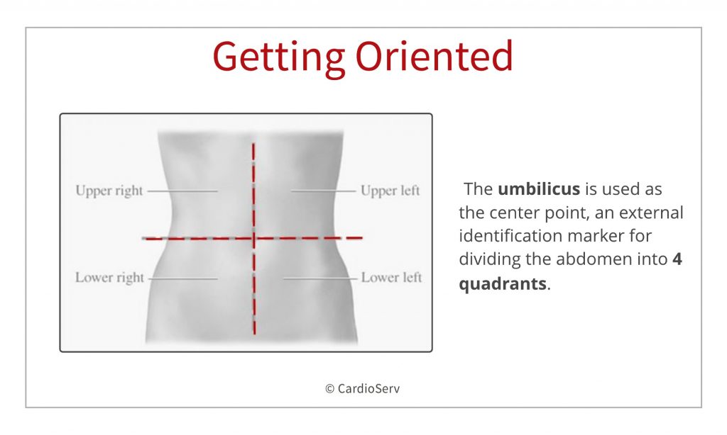 Abdominal Ultrasound for Echocardiographers: Aorta and IVC Cardioserv