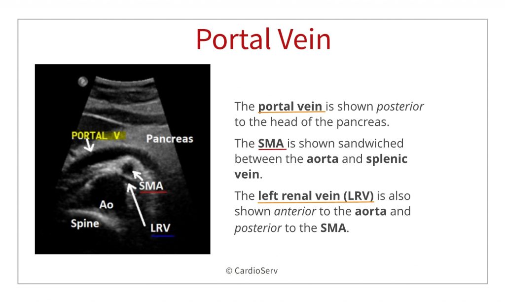 Abdominal Ultrasound for Echocardiographers: Aorta and IVC Cardioserv