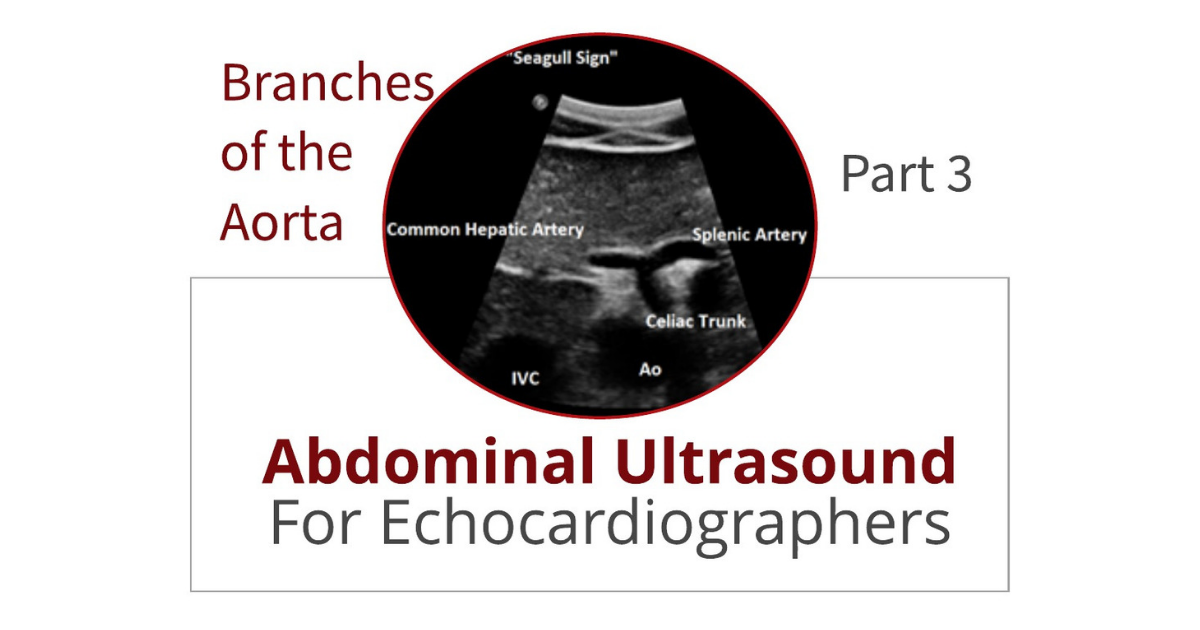 Abdominal Ultrasound for Echocardiographers: Branches of the Aorta ...