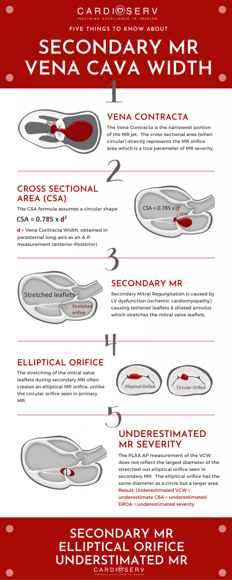 What I Wish You Knew about Secondary MR and Vena Contracta Width (VCW ...
